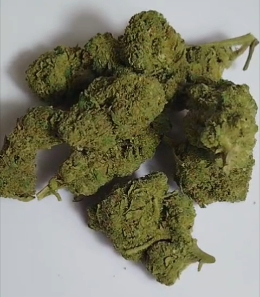 Sour Diesel - Love CBD